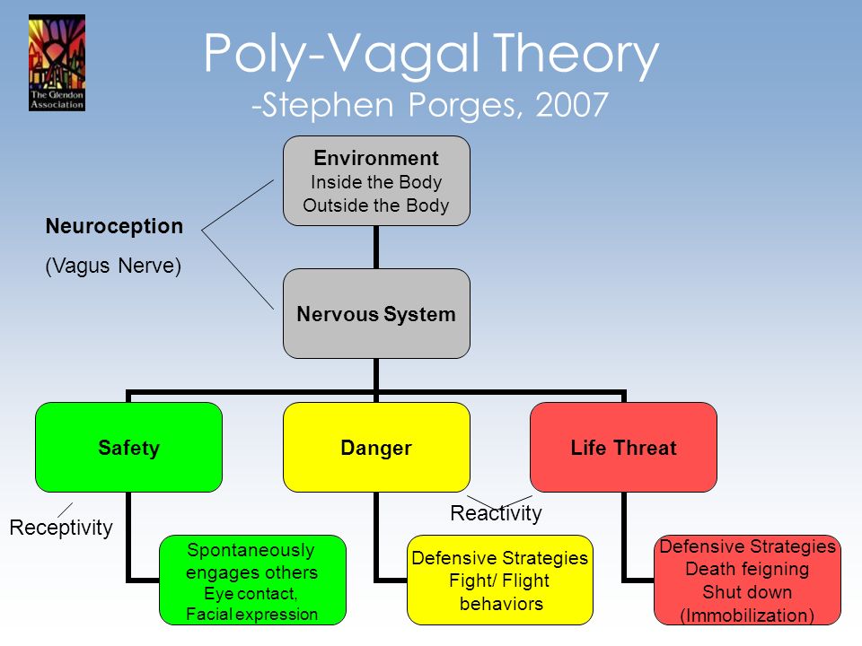 Neuroception. (Vagus Nerve) Receptivity. | Sigàl